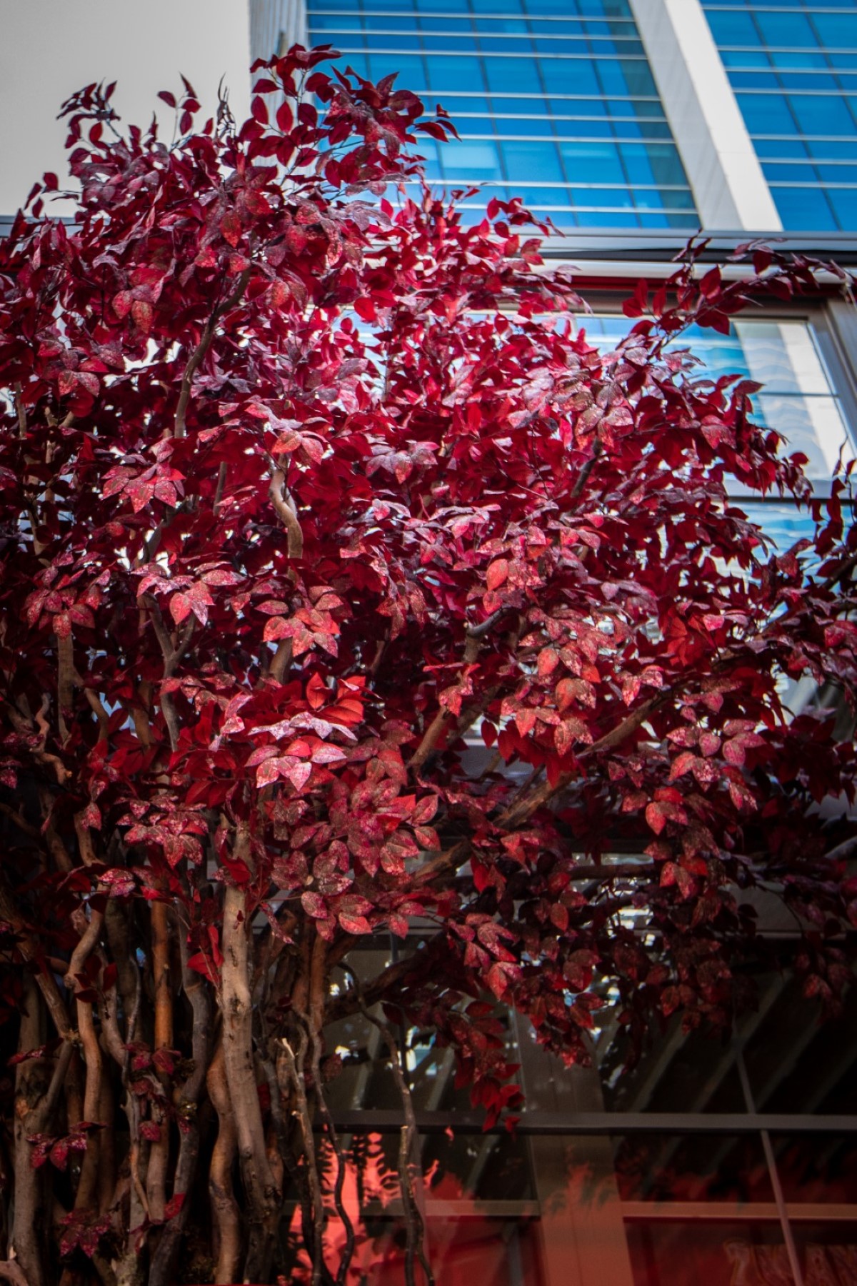 Tavana Sarmaşık | Çinpa - Yapay Bitkiler, Yapay Çiçek