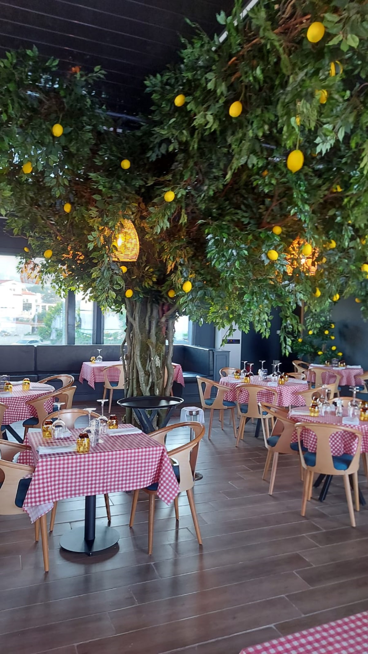 Tavana Sarmaşık | Çinpa - Yapay Bitkiler, Yapay Çiçek