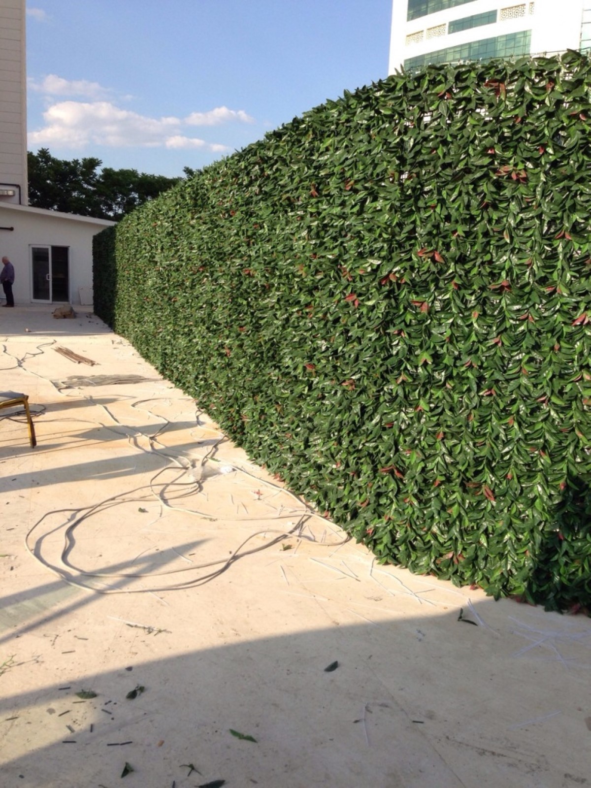 Tavana Sarmaşık | Çinpa - Yapay Bitkiler, Yapay Çiçek