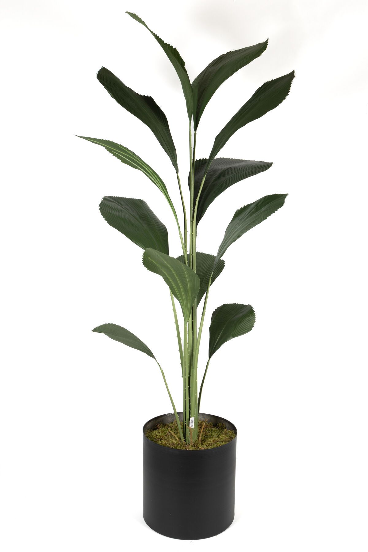 Yapay Büyük Boy Bitki 100-240 cm