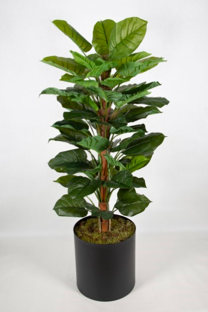 Yapay Büyük Boy Bitki 100-240 cm