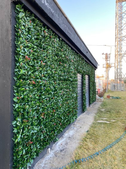 Dikey Bahçe & Sarmaşık Çit