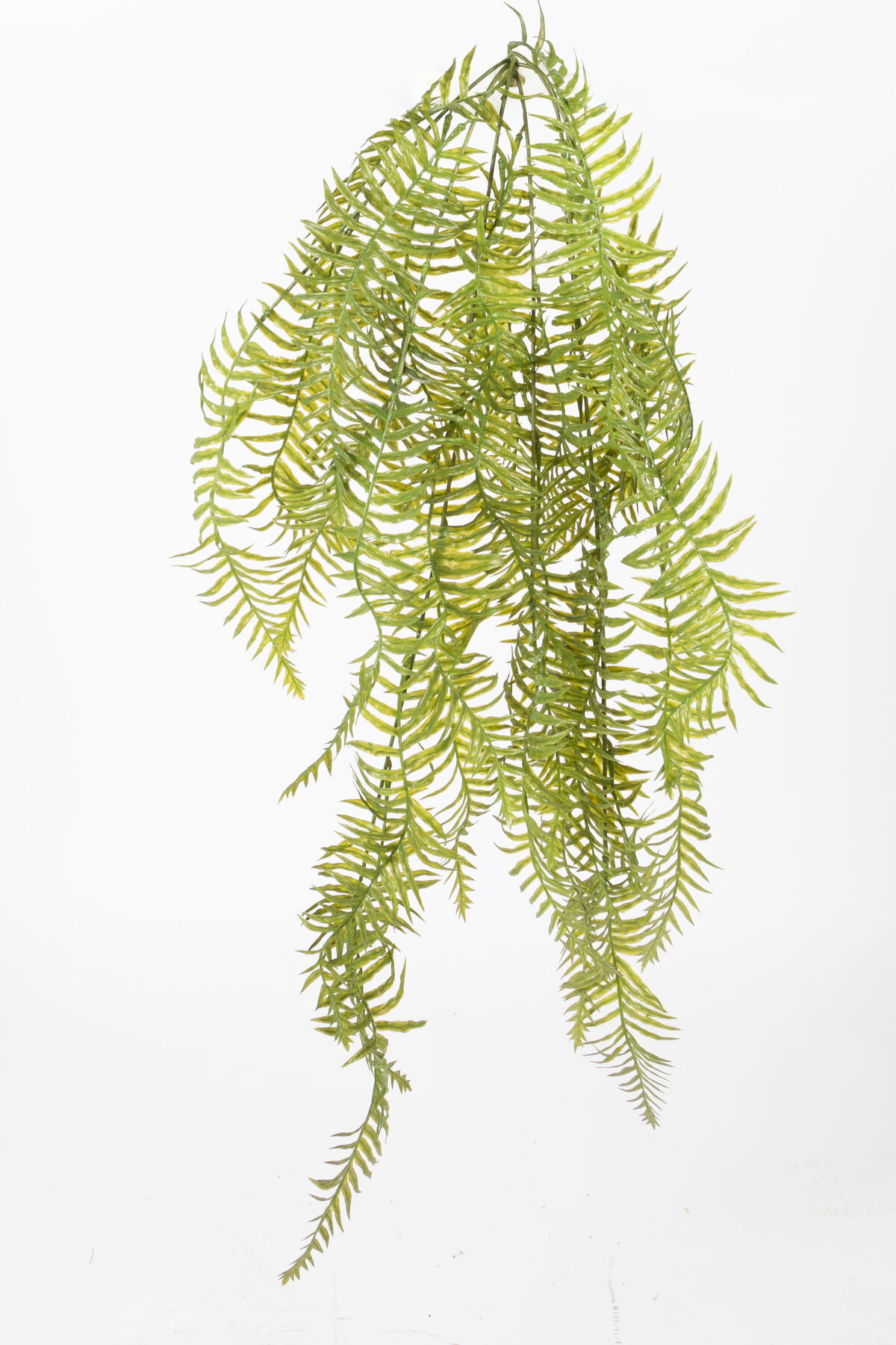 Yapay Sarmaşık & Sarkan Bitki